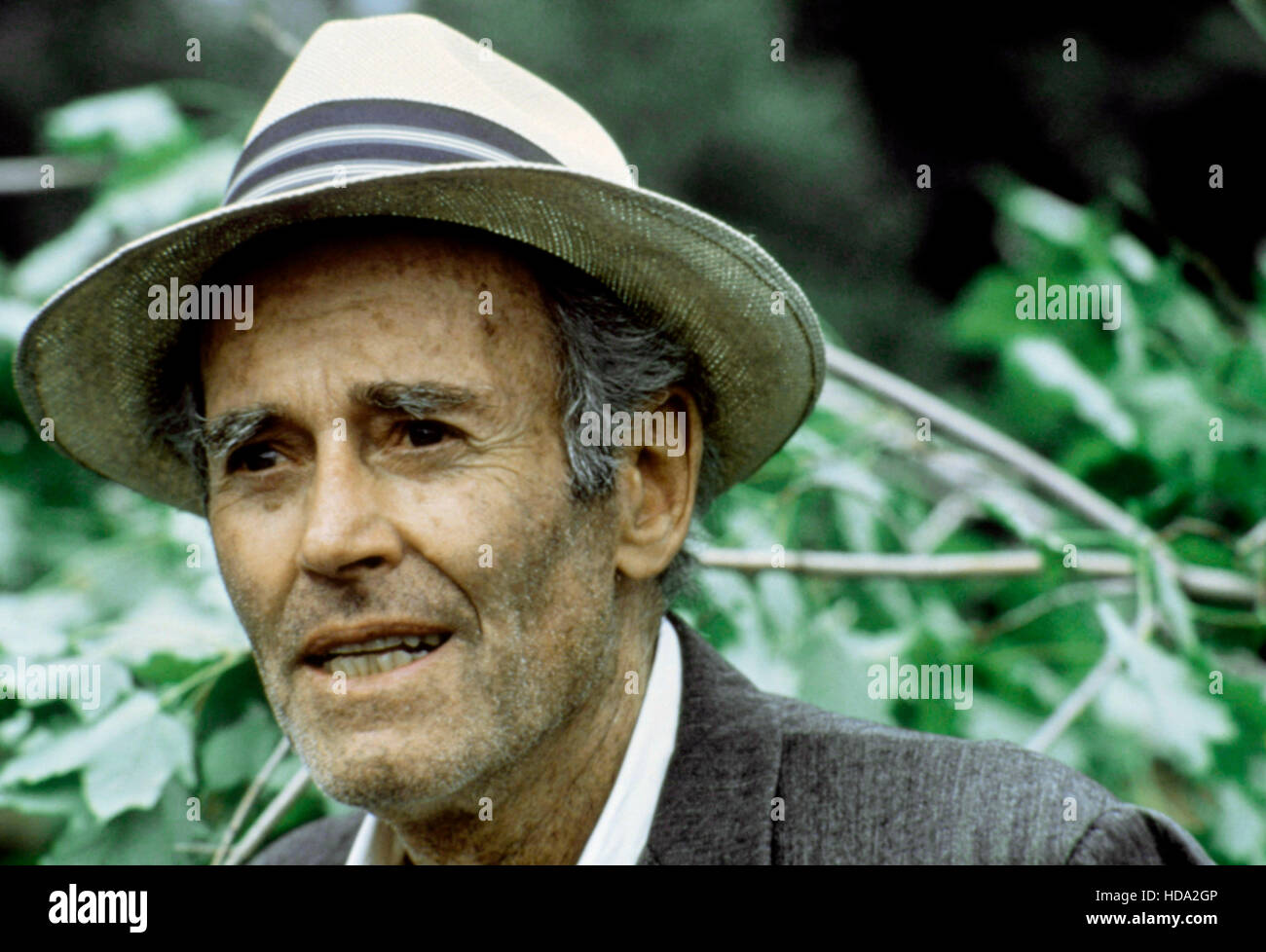 HOME TO STAY, Henry Fonda, 1978. © Time Life Films / Courtesy: Everett ...