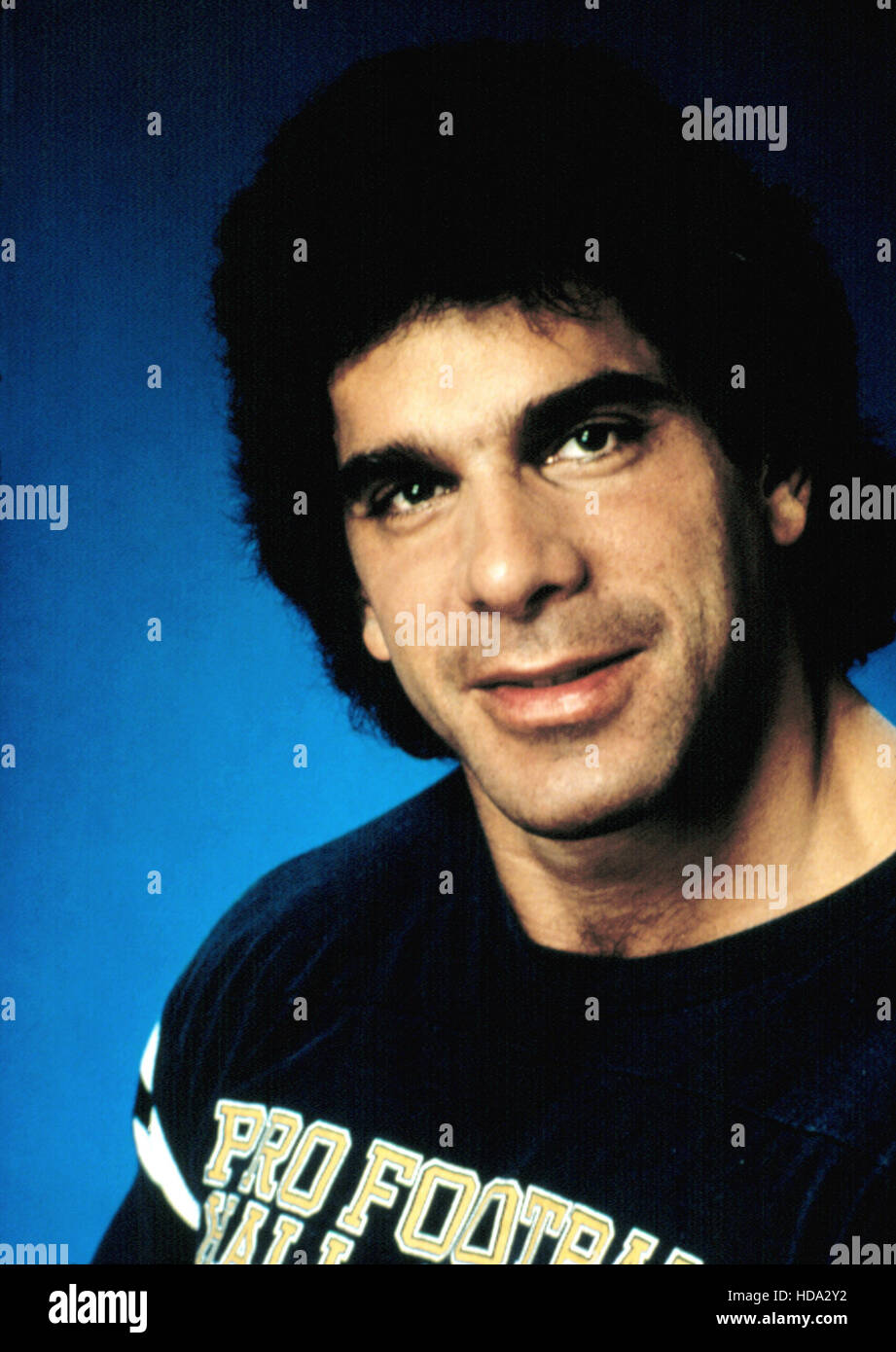 INCREDIBLE HULK RETURNS, Lou Ferrigno, 1988, © CBS / Courtesy: Everett ...