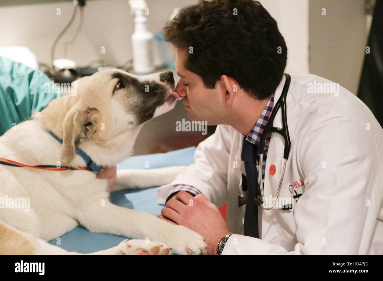 VET SCHOOL, Sam Dicker (right), 'The Big Rotation', (Season 1, ep. 105 ...