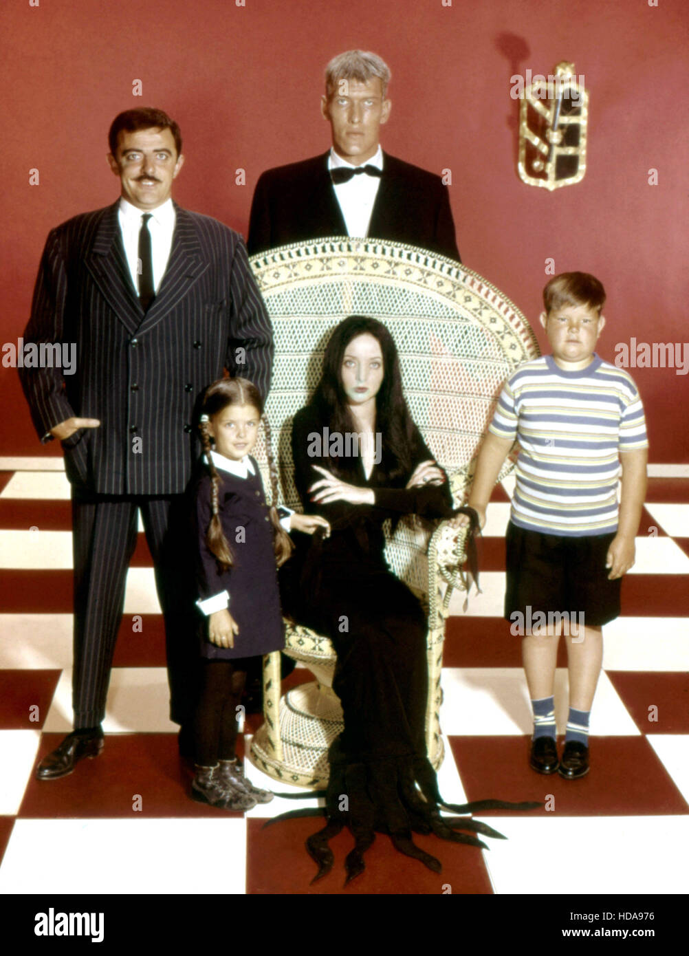 THE ADDAMS FAMILY, Ken Weatherwax, Ted Cassidy, Carolyn Jones, Lisa ...