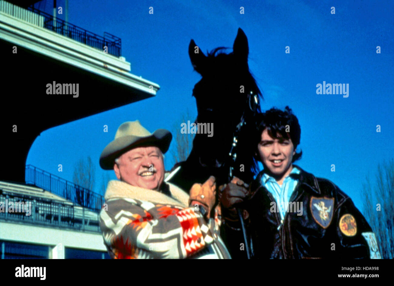 THE ADVENTURES OF THE BLACK STALLION, Richard Cox, Mickey Rooney, 1990 ...