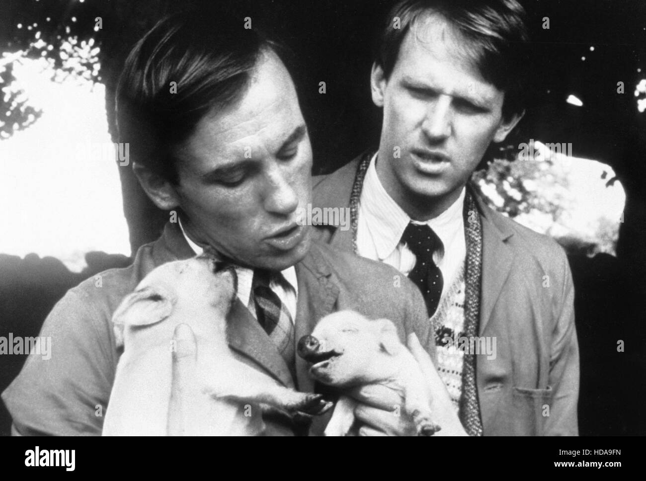 ALL CREATURES GREAT AND SMALL, (from left): Christopher Timothy, Peter ...