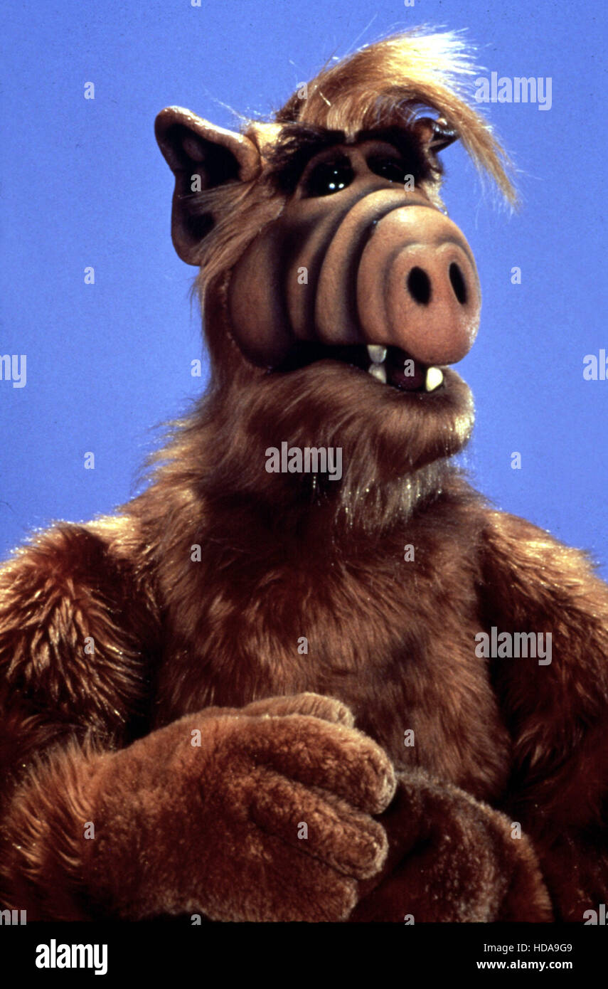 ALF, Alf, 1986-90 Stock Photo - Alamy