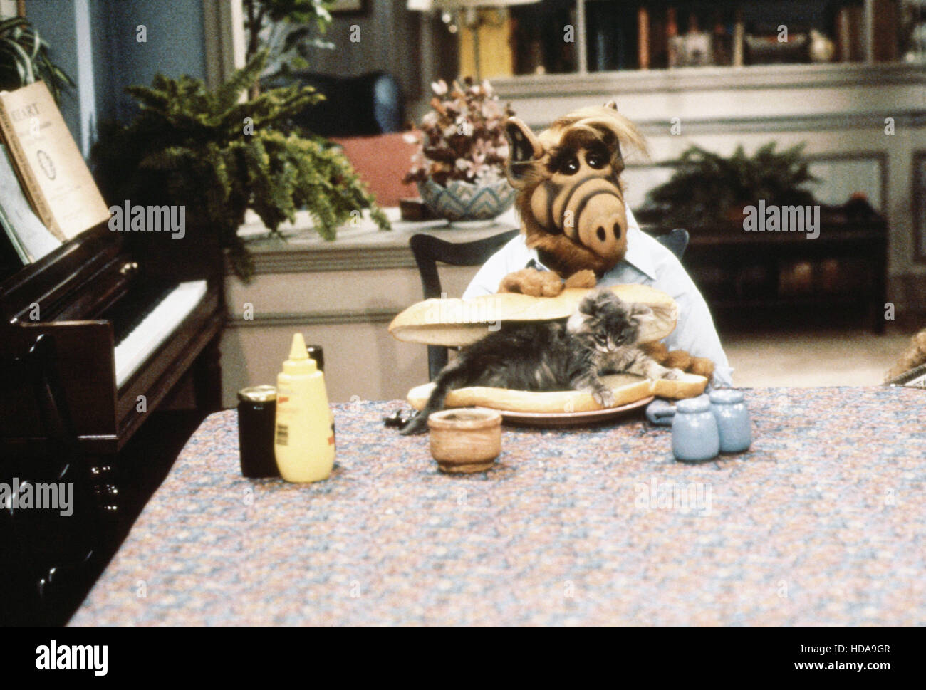 ALF, Alf, 1986-90. © Alien Productions / Courtesy: Everett Collection ...