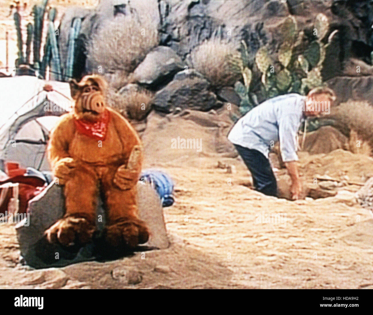 ALF, (from left): Alf, Max Wright, 1986-90. © Alien Productions ...