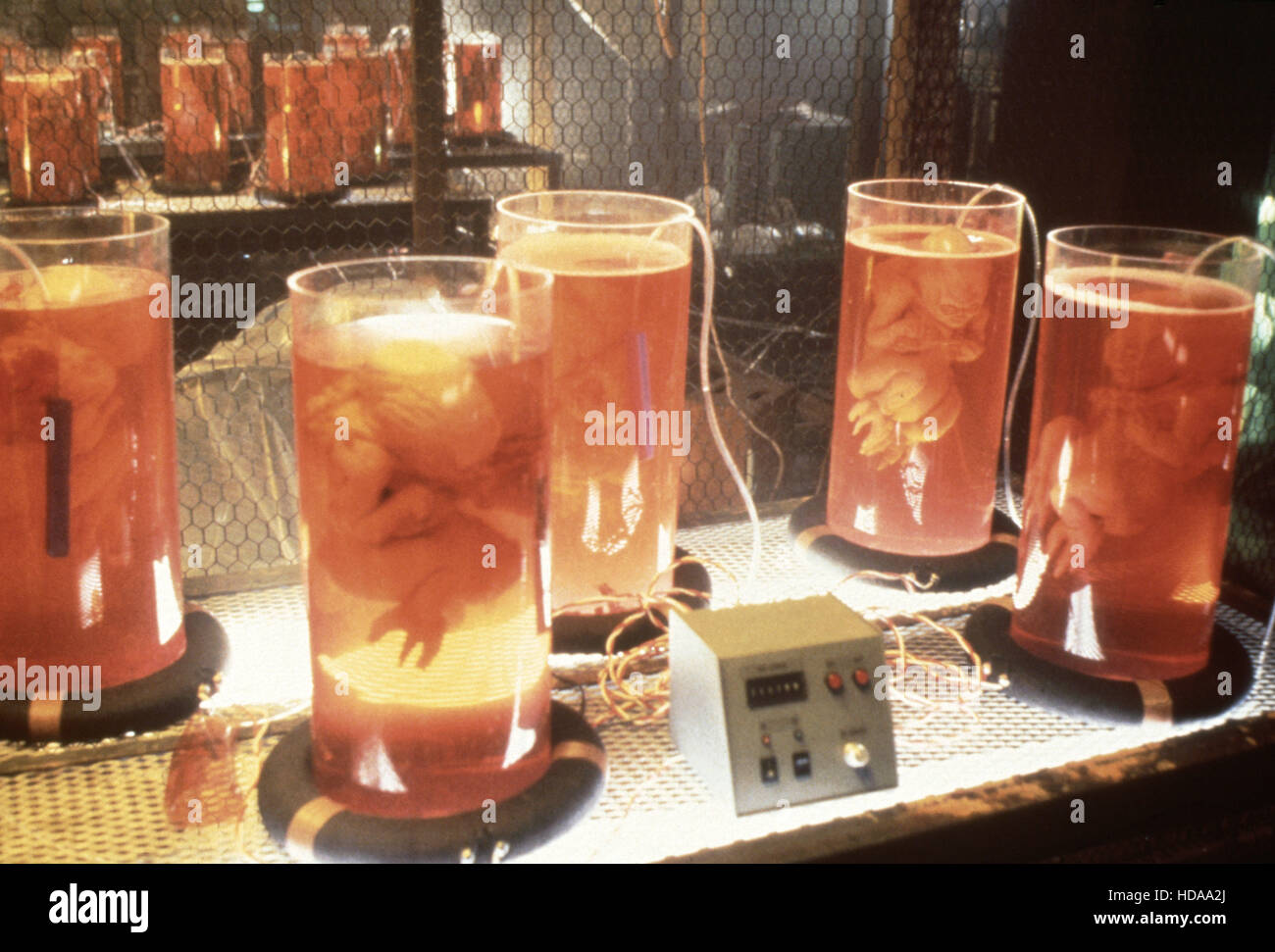 ALIEN NATION: THE ENEMY WITHIN, invitro fetus (plot to grow mutant army ...