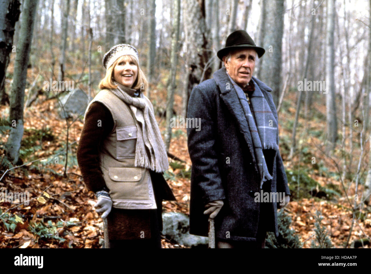 THE CHRISTMAS WIFE, Julie Harris, Jason Robards, 1988 Stock Photo - Alamy