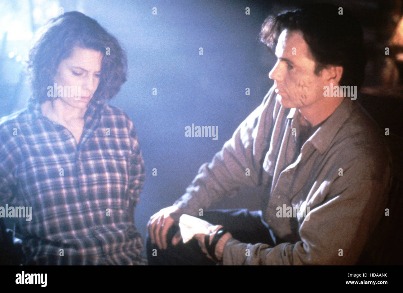 THE COMPANION, from left: Kathryn Harrold, Bruce Greenwood, 1994, © USA ...
