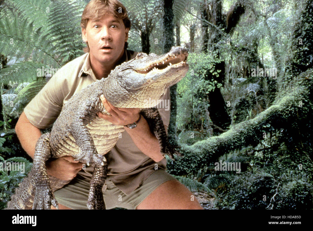 CROCODILE HUNTER, Steve Irwin with a crocodile, 1996-2006, photo: J ...