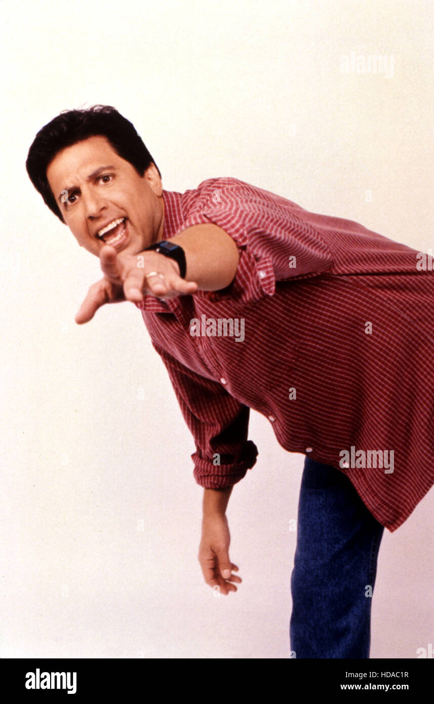 EVERYBODY LOVES RAYMOND, Ray Romano, 1996-2005. © CBS / Courtesy ...
