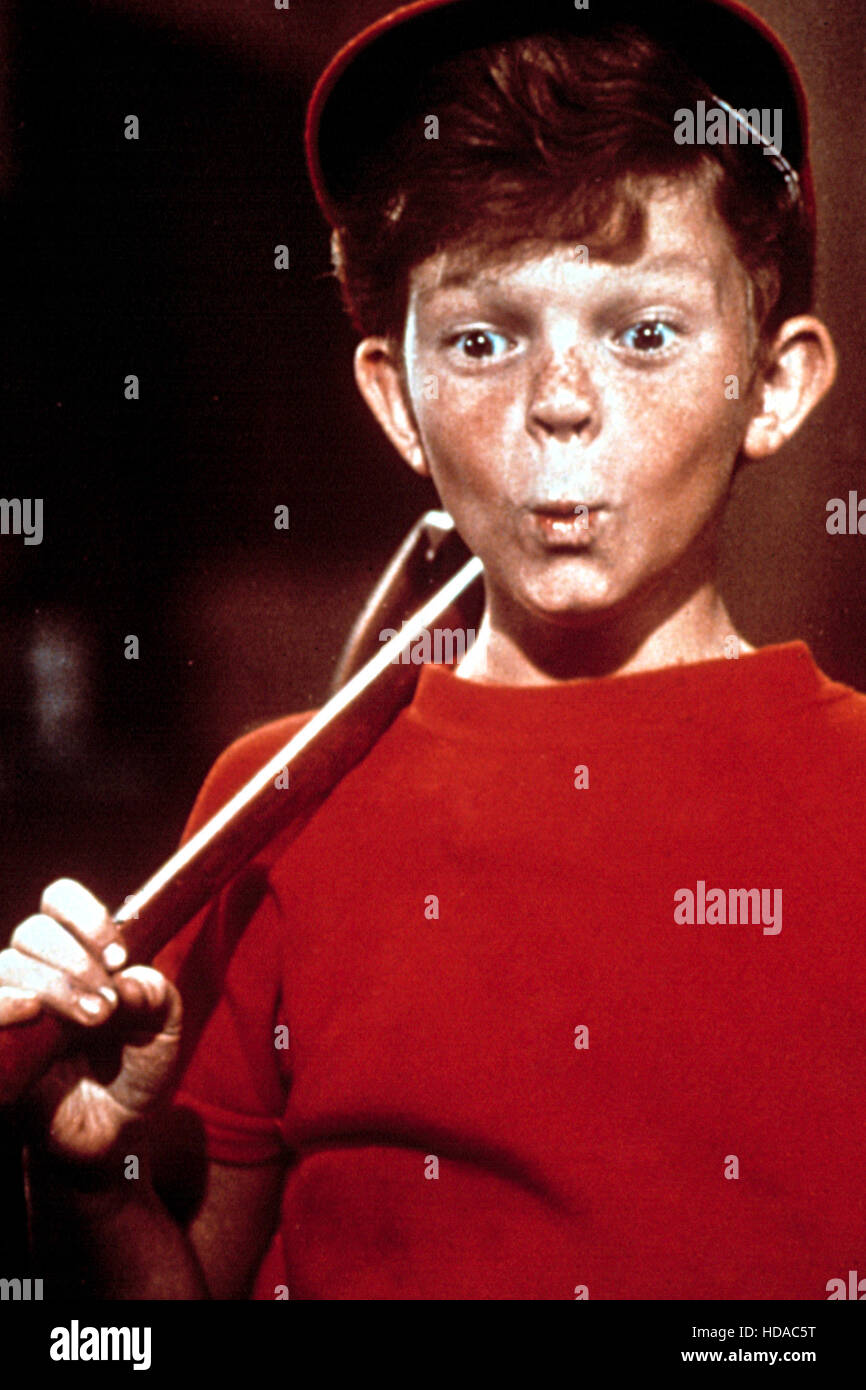 FAMILY AFFAIR, Johnny Whitaker, 1966-71 Stock Photo - Alamy