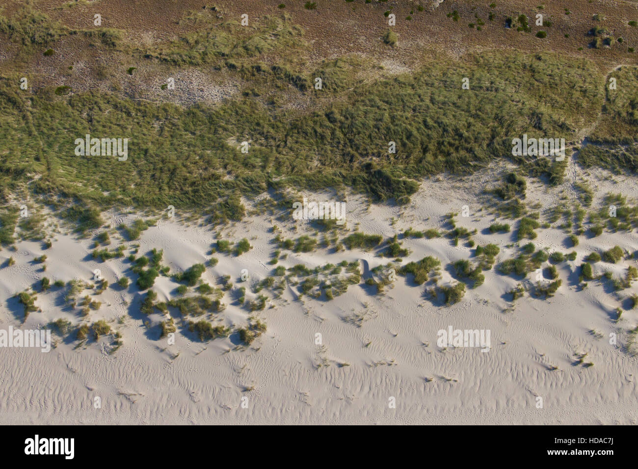 Amrum island hi-res stock photography and images - Alamy