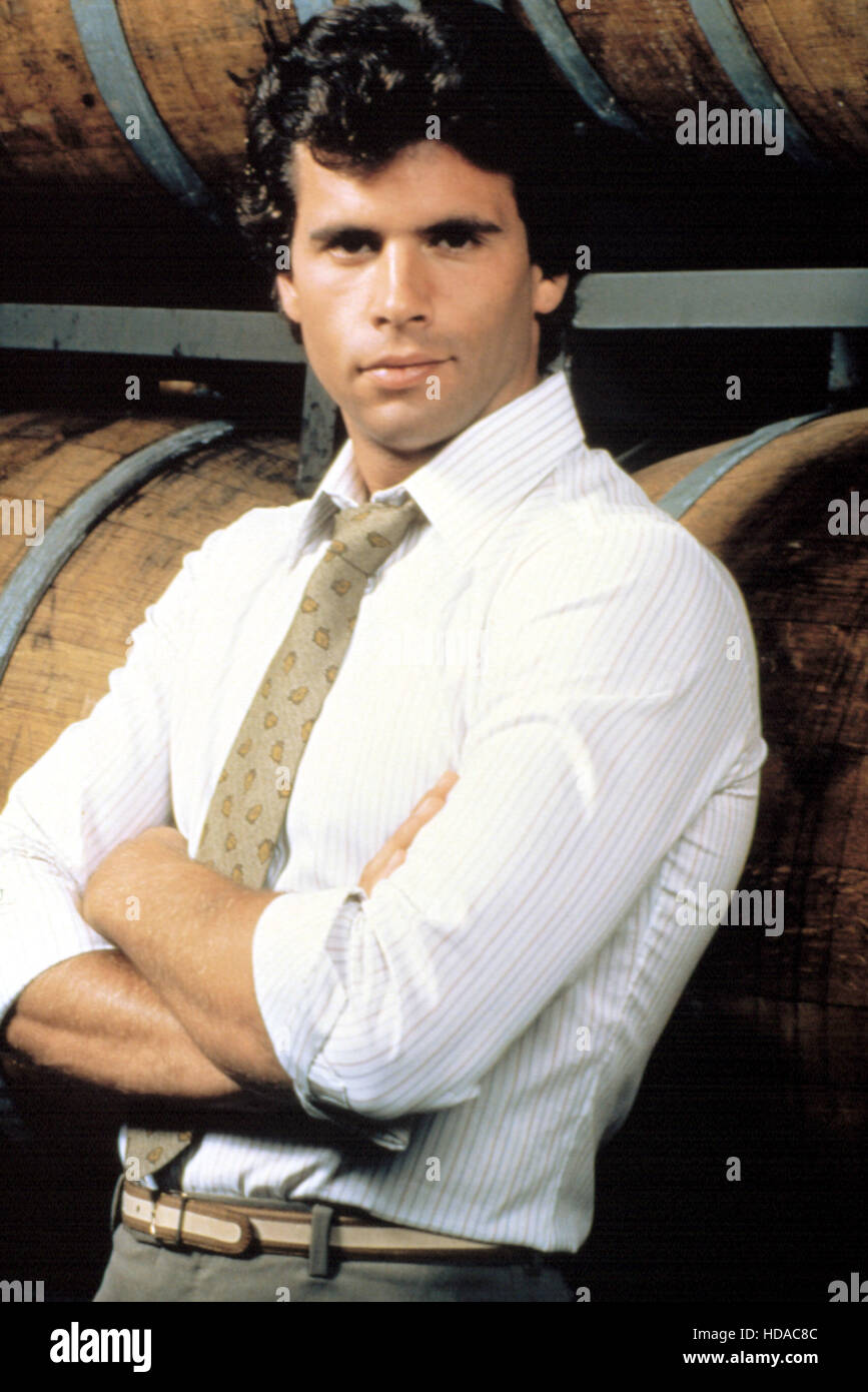 FALCON CREST, Lorenzo Lamas, c. 1986, 1981-90, © CBS / Courtesy ...