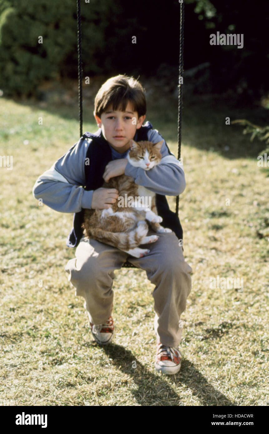 GREGORY K, (aka SWITCHING PARENTS), Joseph Gordon-Levitt, 1993 ...