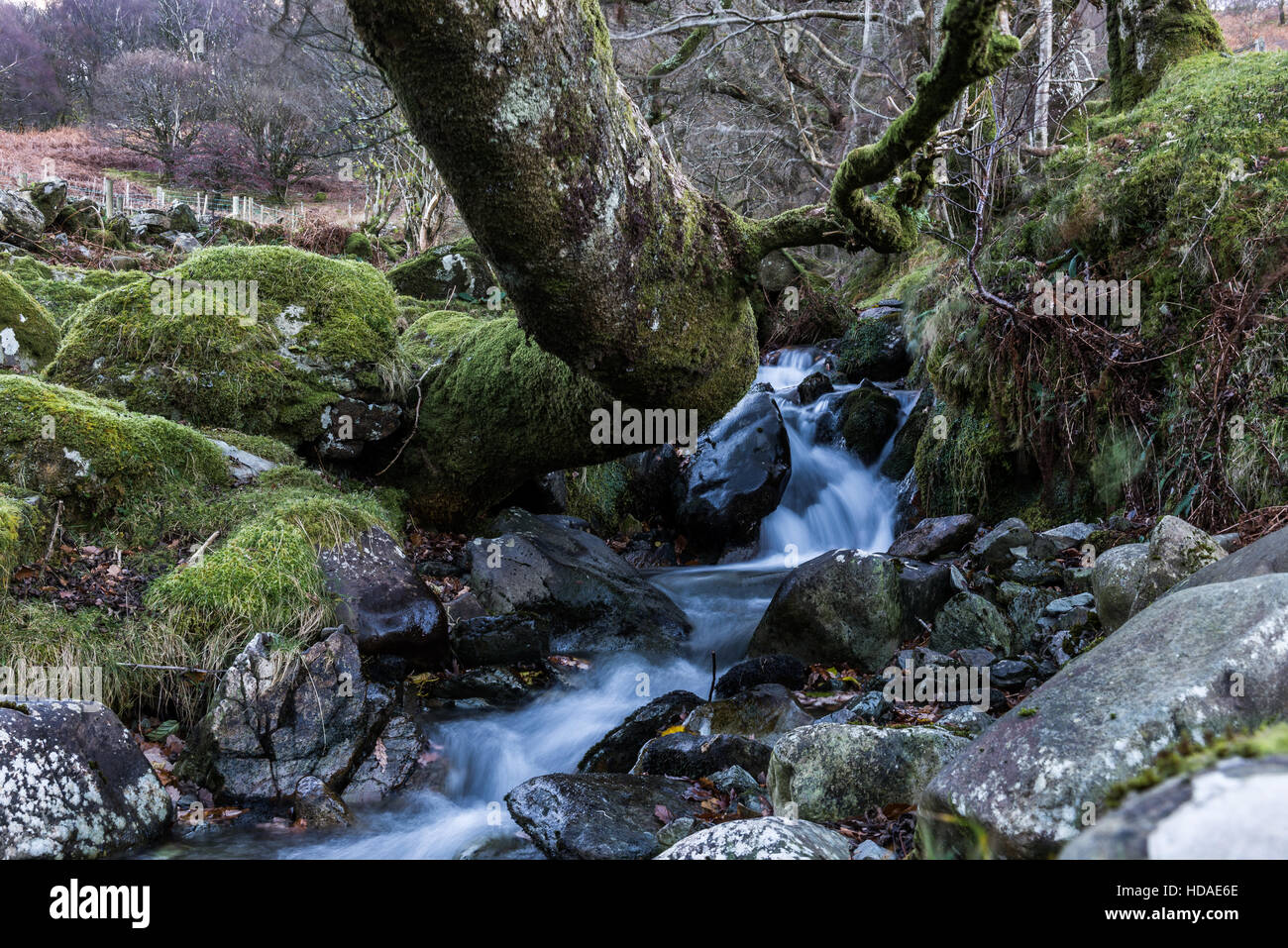 Relaxing mountain stream hi-res stock photography and images - Alamy