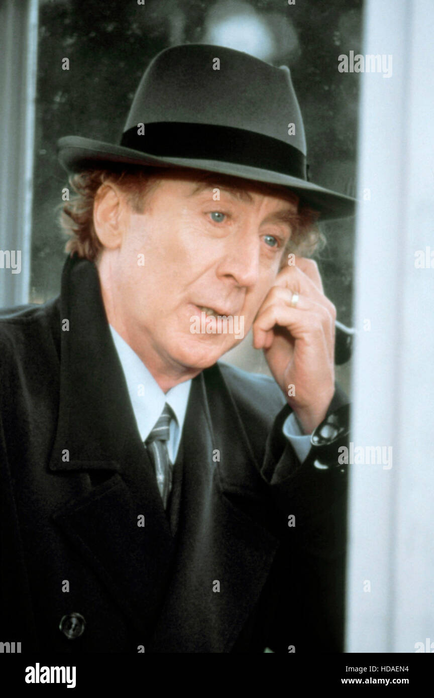 THE LADY IN QUESTION, Gene Wilder, 1999. photo: Ben Mark Holzberg ...