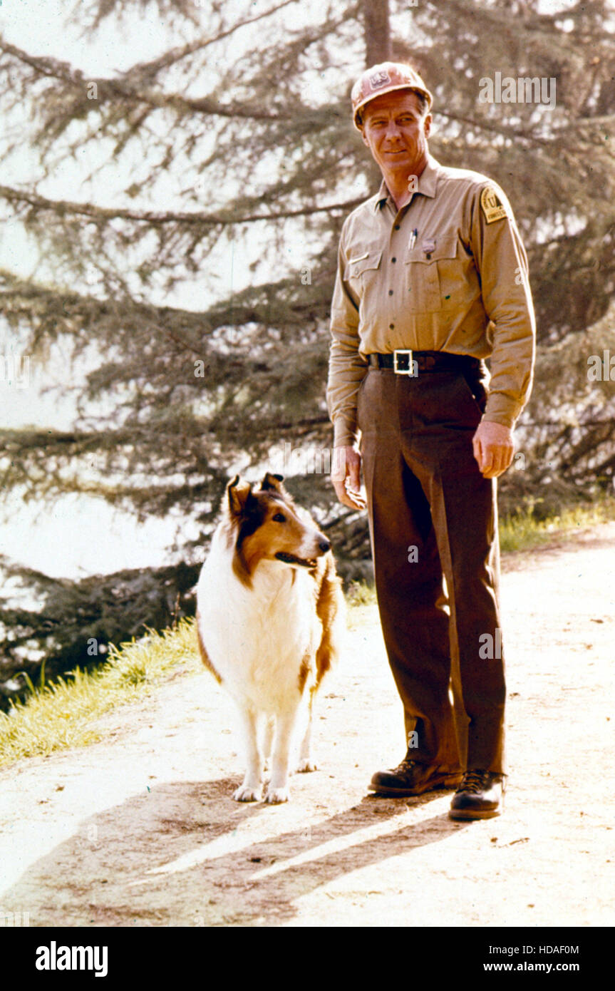 LASSIE, Lassie, Robert Bray, (1960s), 1954-74 Stock Photo - Alamy