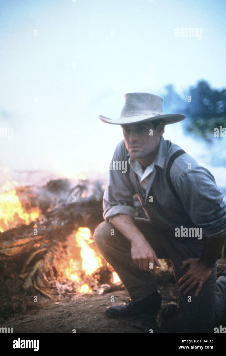 LEGACY, Grayson McCouch, 1998. © Atlantis Films / Courtesy: Everett ...