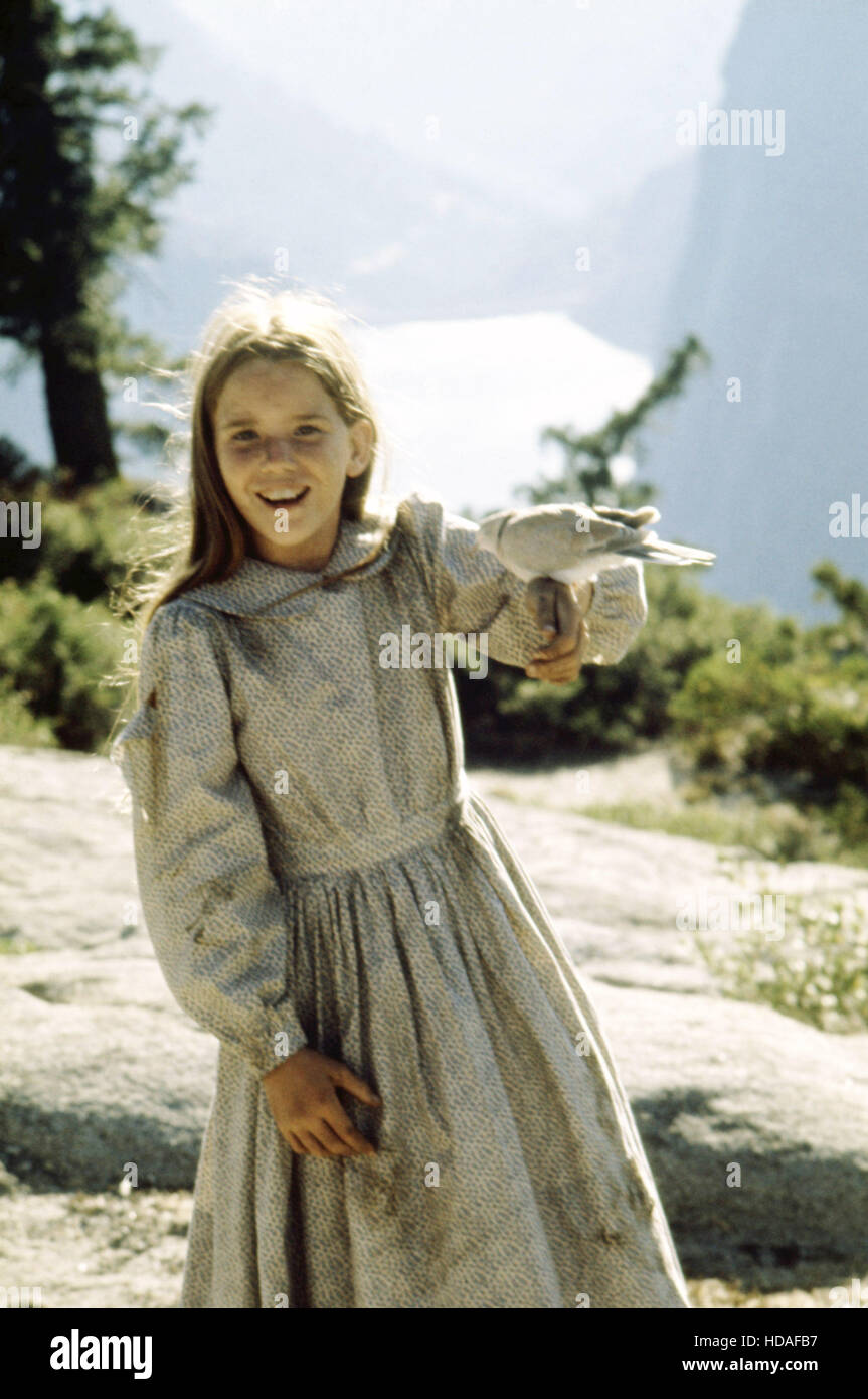LITTLE HOUSE ON THE PRAIRIE, Melissa Gilbert, 1974-83 Stock Photo - Alamy