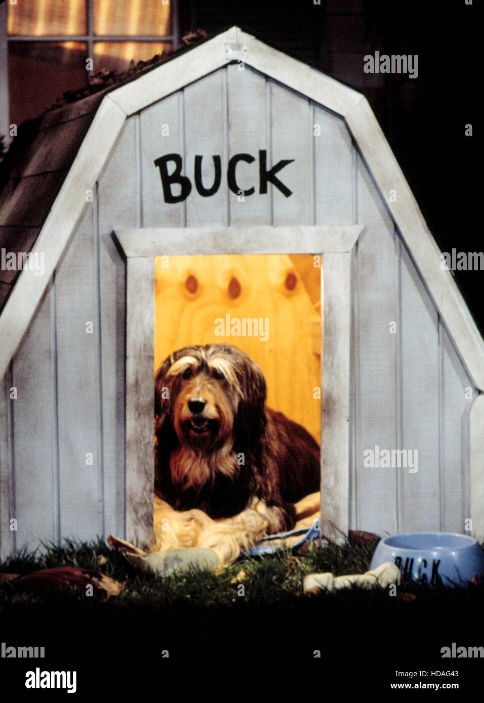 MARRIED...WITH CHILDREN, Buck the Dog, 1987-1997.(c) Columbia Pictures ...