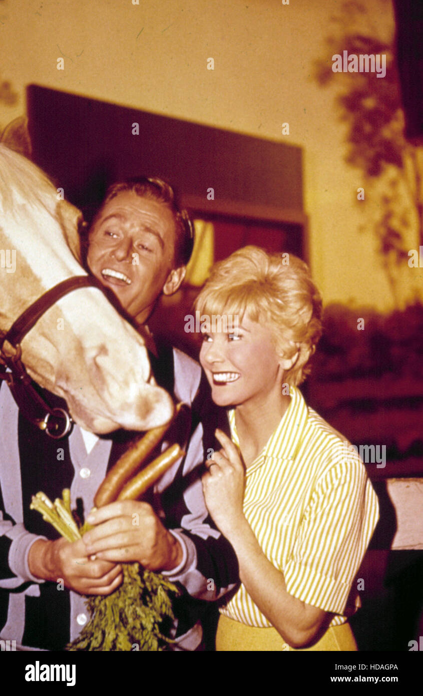 MR. ED, Mr. Ed, Alan Young, Connie Hines, 1961-66 Stock Photo - Alamy