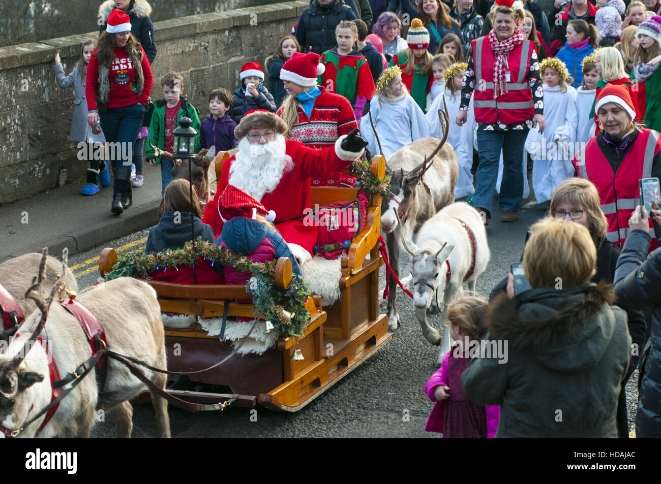 Reindeer parade hi-res stock photography and images - Alamy