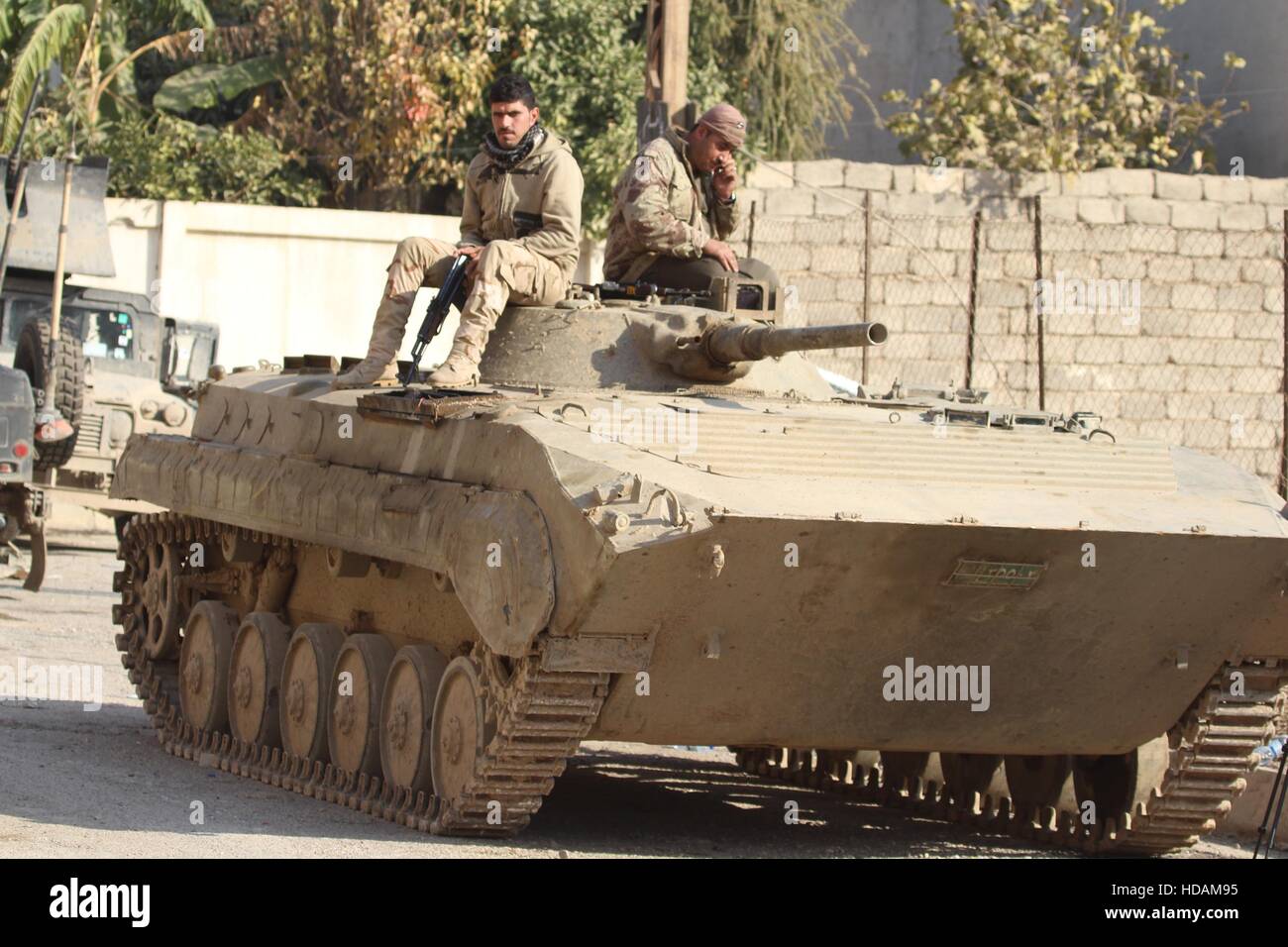 Iraqi cts hi-res stock photography and images - Alamy