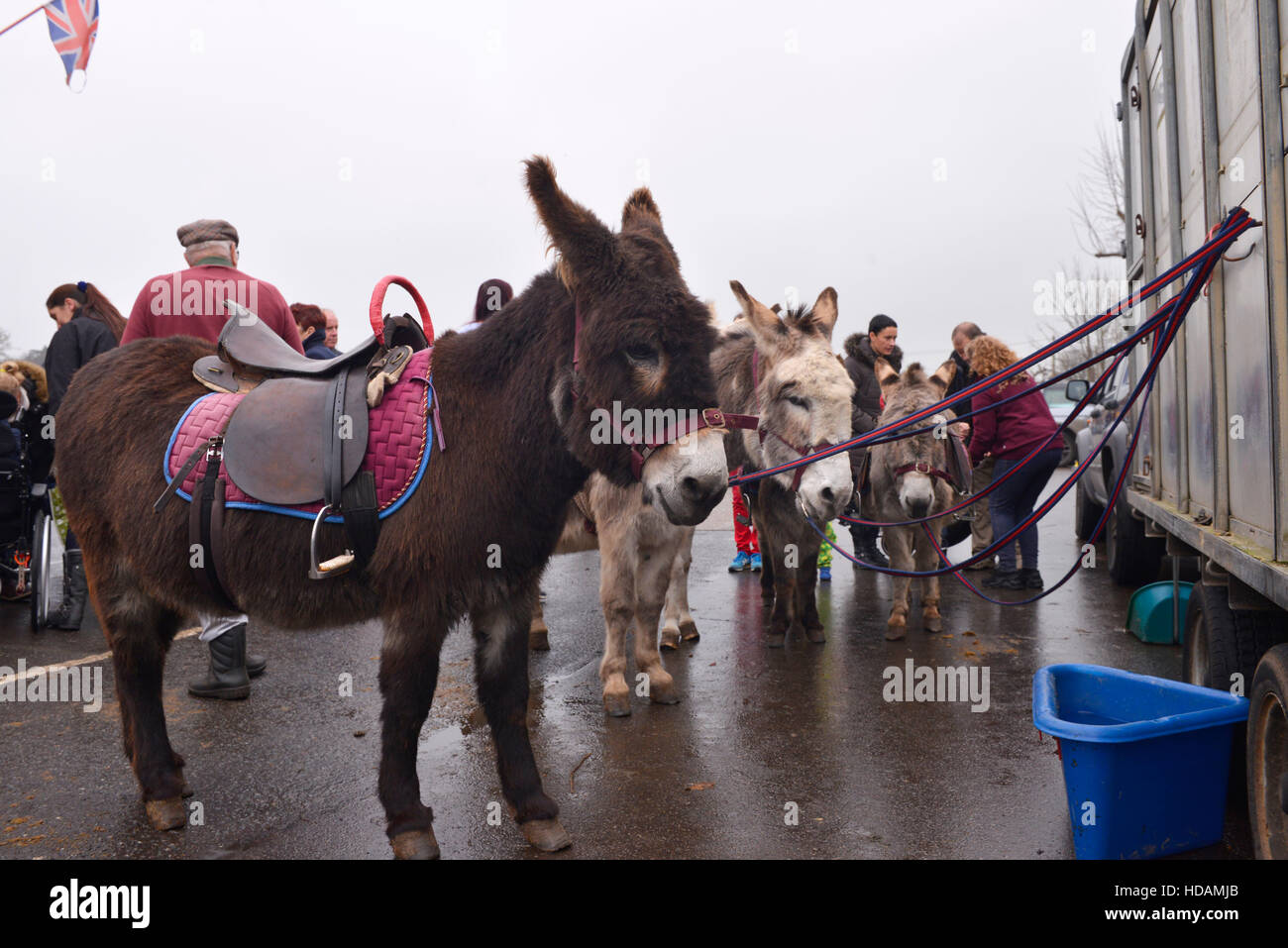 Donkeys ride, Rye, East Sussex, UK. 10th Dec, 2016. Popular Christmas ...