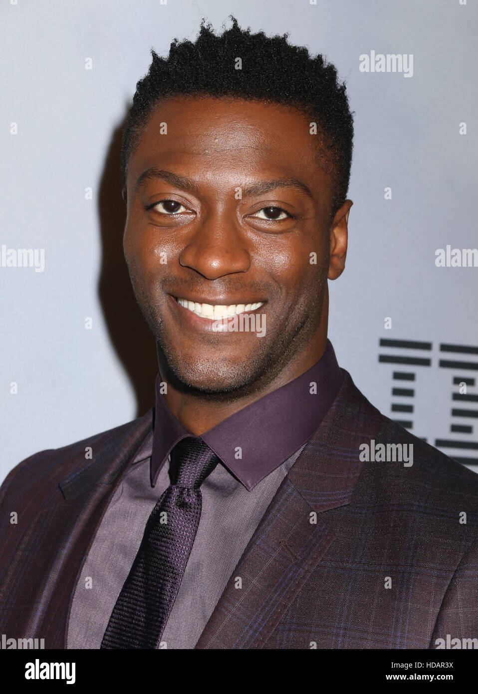 New York, New York, USA. 10th Dec, 2016. Actor ALDIS HODGE attends the ...