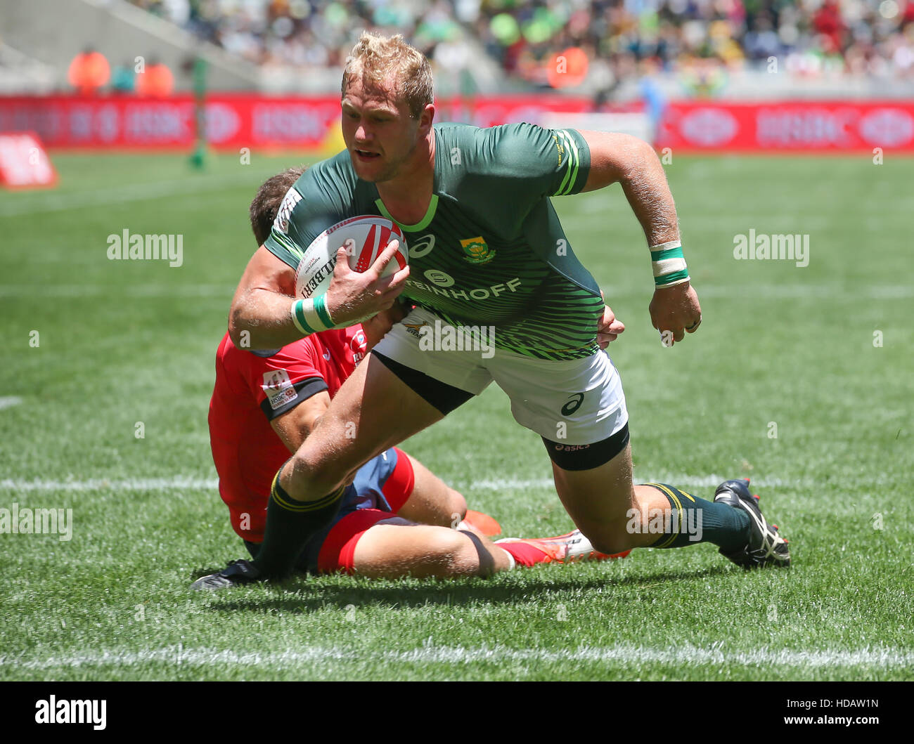 The springbok rugby captain hi-res stock photography and images - Alamy