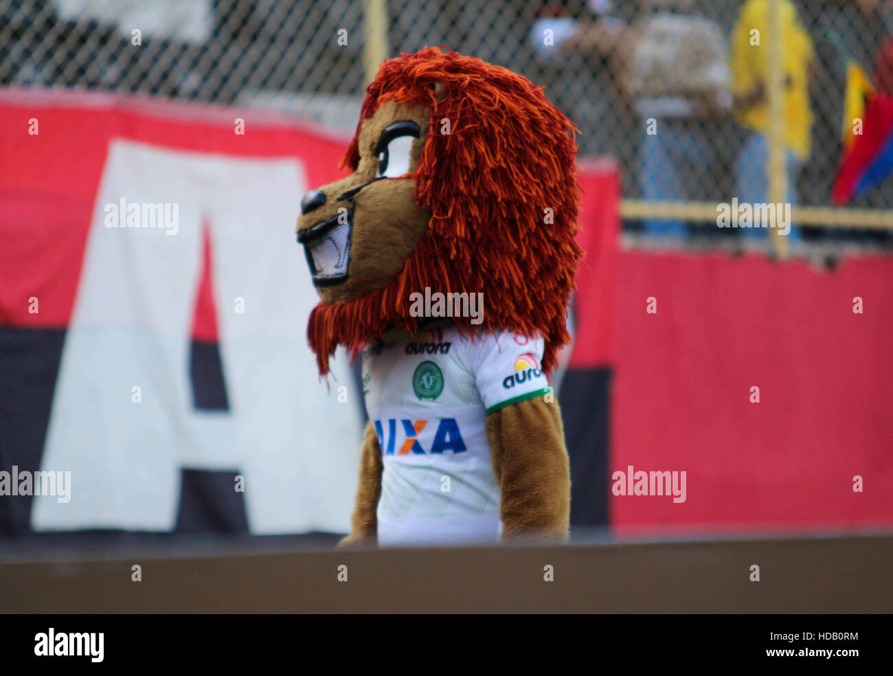 Chapecoense mascot hi-res stock photography and images - Alamy