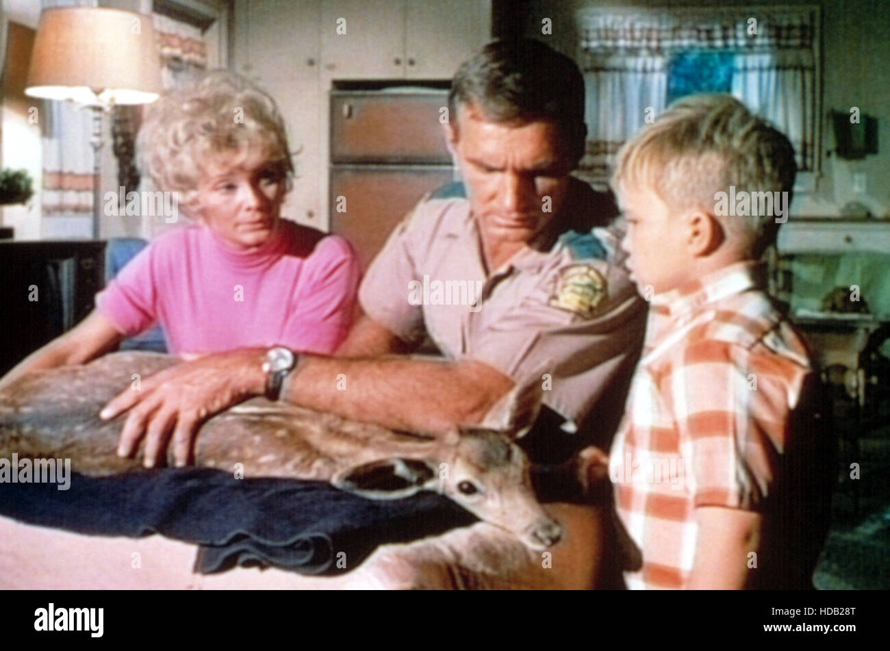 GENTLE BEN, Beth Brickell, Dennis Weaver, Clint Howard, 1967-1969 Stock ...