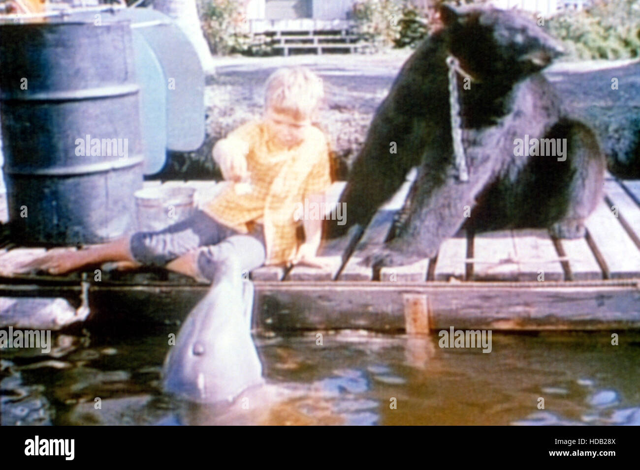 GENTLE BEN, Clint Howard, Gentle Ben, 1967-1969 Stock Photo - Alamy