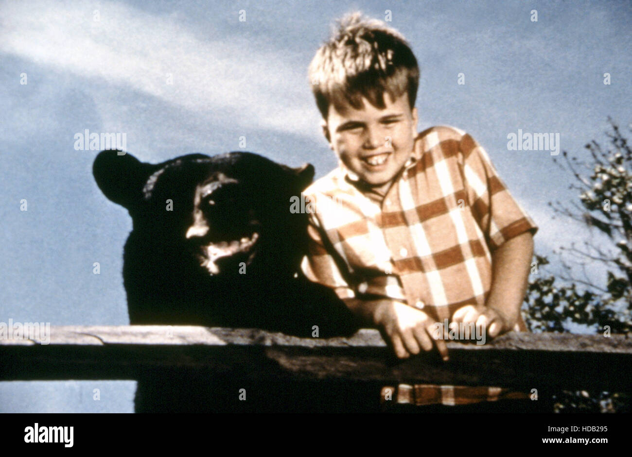 GENTLE BEN, Gentle Ben, Clint Howard, 1967-1969 Stock Photo - Alamy