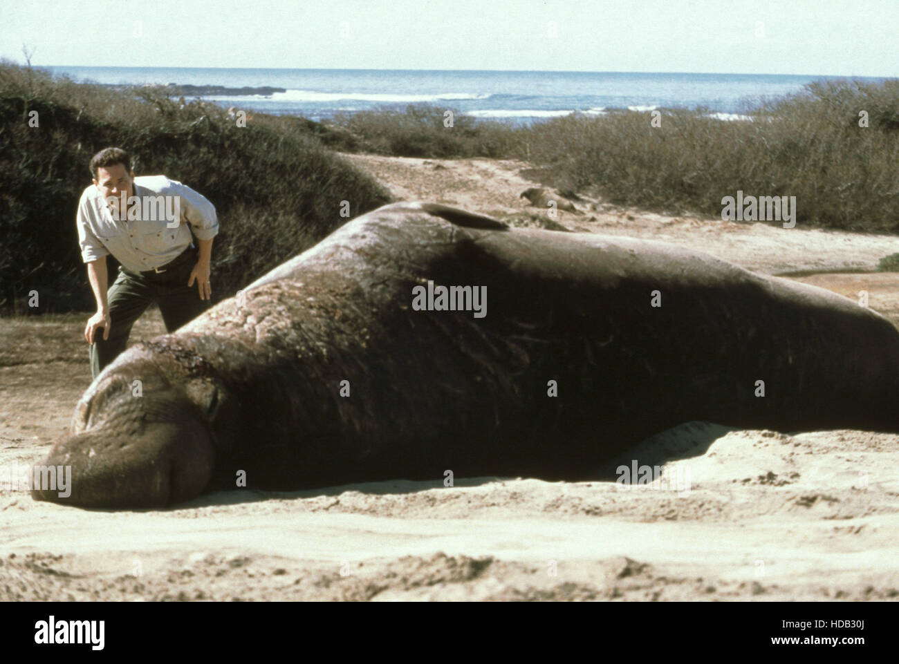 GOING WILD WITH JEFF CORWIN, Jeff Corwin, 1997-99. © Disney Educational ...