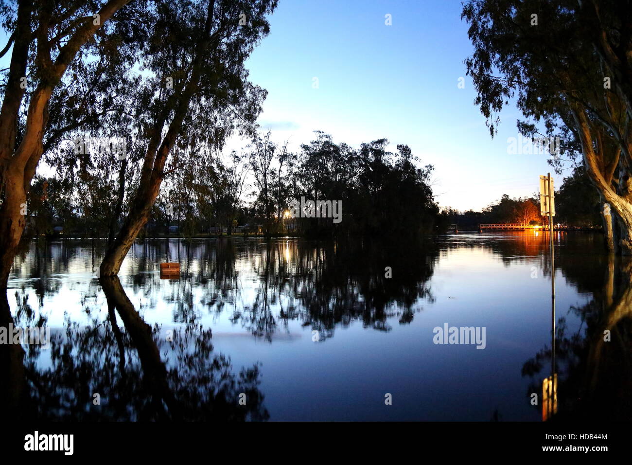 Murray River at Barham NSW Australia in flood Stock Photo - Alamy