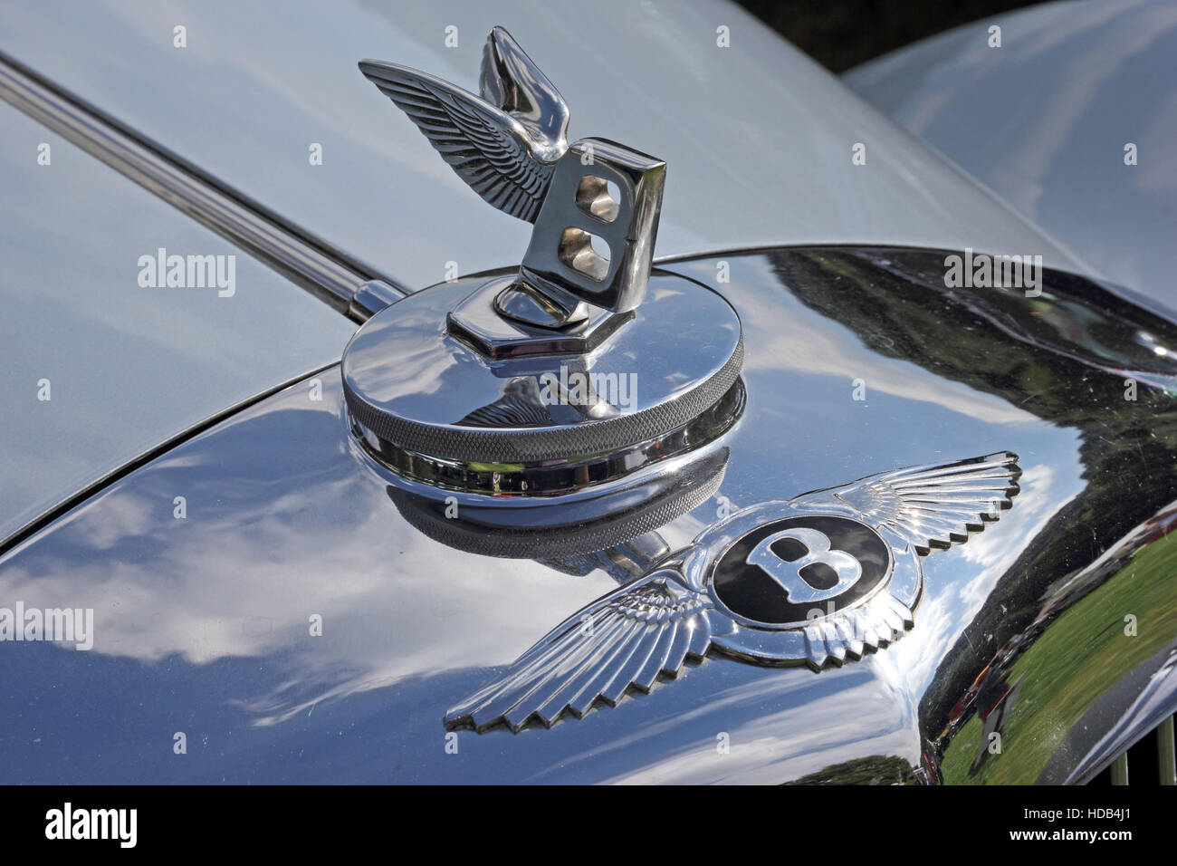 Grille radiator badge hi-res stock photography and images - Alamy