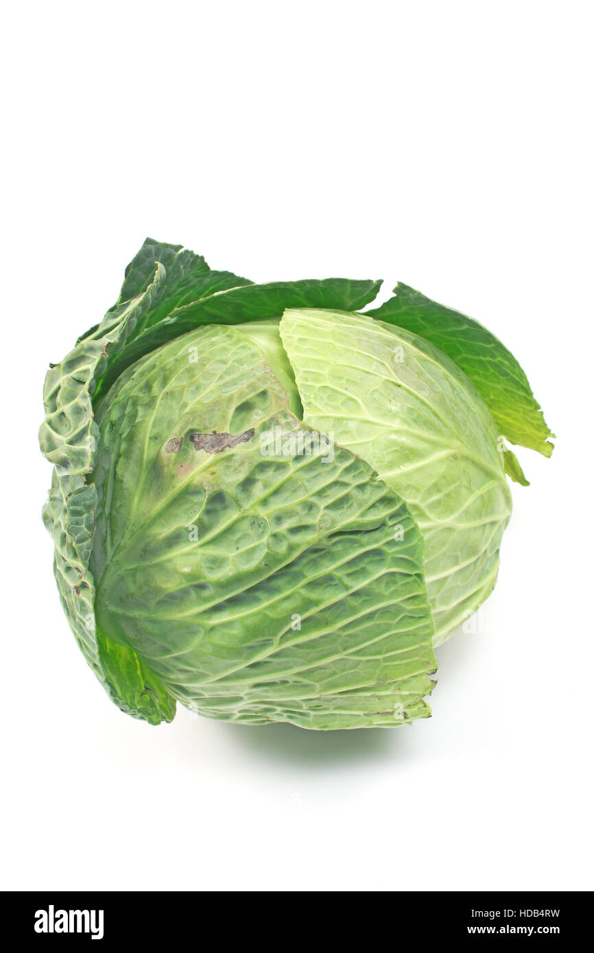 Cabbage leaf hi-res stock photography and images - Alamy