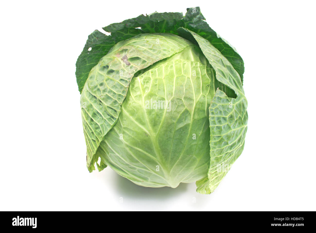 Young cabbage hi-res stock photography and images - Alamy