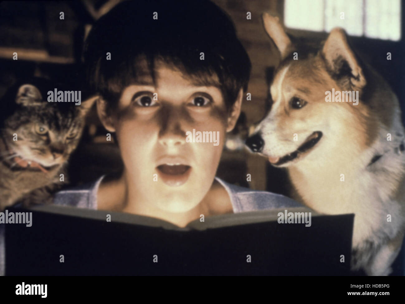 MURDER SHE PURRED: A MRS. MURPHY MYSTERY, (from left): Mrs. Murphy (the ...