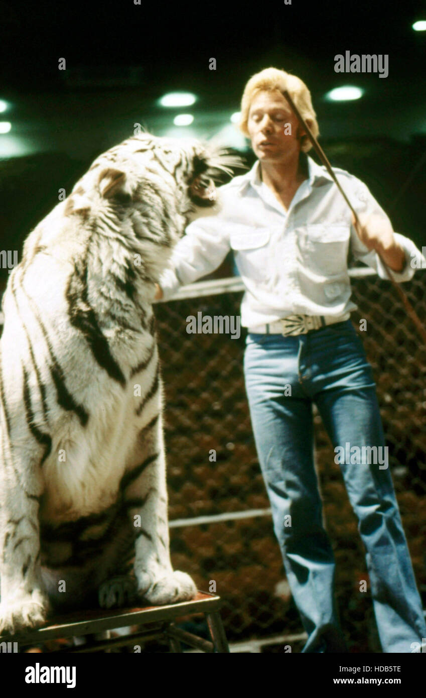 MY FATHER THE CIRUCS KING, Gunther Gebel-Williams, 1981. © NBC ...