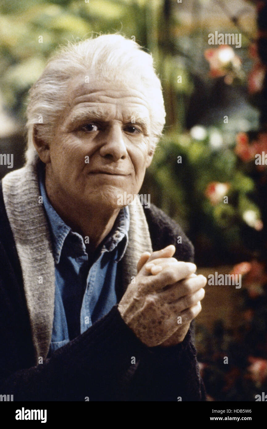 MY LIFE AND TIMES, Tom Irwin, 1991, Ph: Julie Dennis, © ABC/courtesy ...