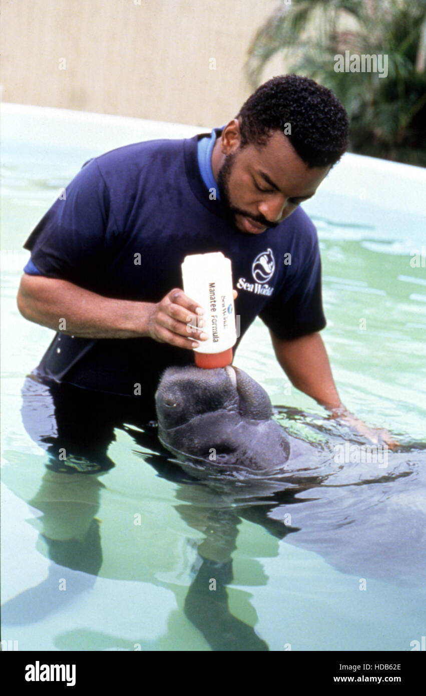 READING RAINBOW, LeVar Burton, 1983-2006. (c) PBS/ Courtesy: Everett ...