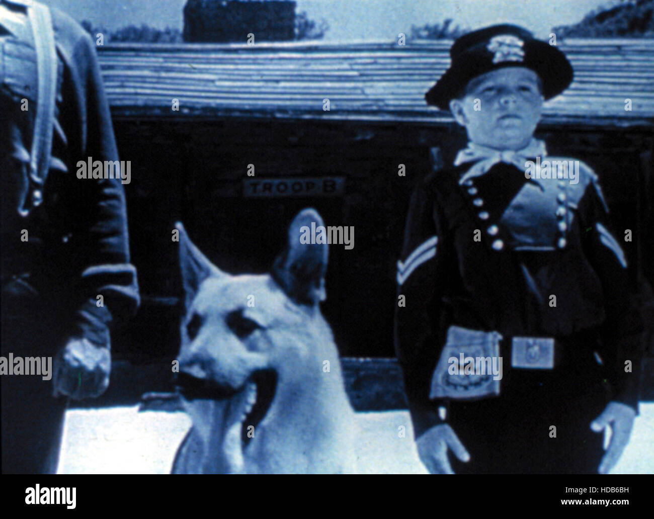 RIN TIN TIN, Rin Tin Tin, Lee Aaker, 1954-1959 Stock Photo - Alamy
