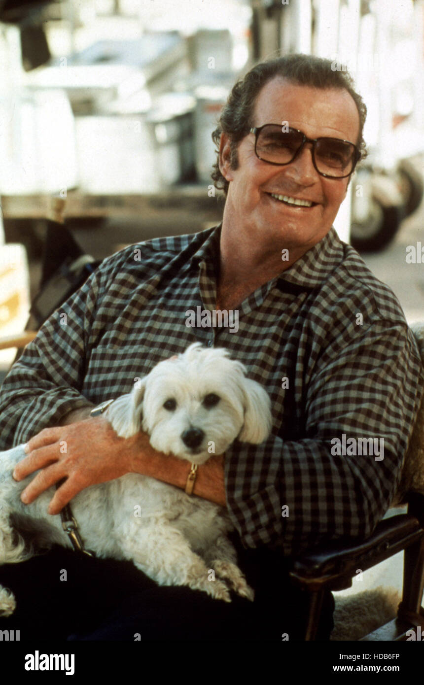 ROCKFORD FILES, James Garner, 1974-1980, dog, TV movie from 1994 Stock ...