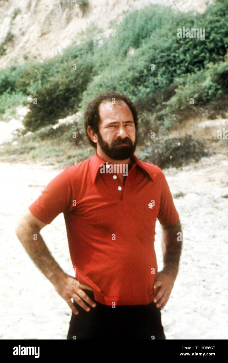 ROCKFORD FILES, Stuart Margolin, (1980), 1974-1980 Stock Photo - Alamy