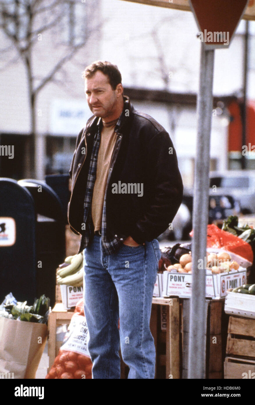 ROOMATES, Randy Quaid, 1994, © NBC/courtesy Everett Collection Stock ...
