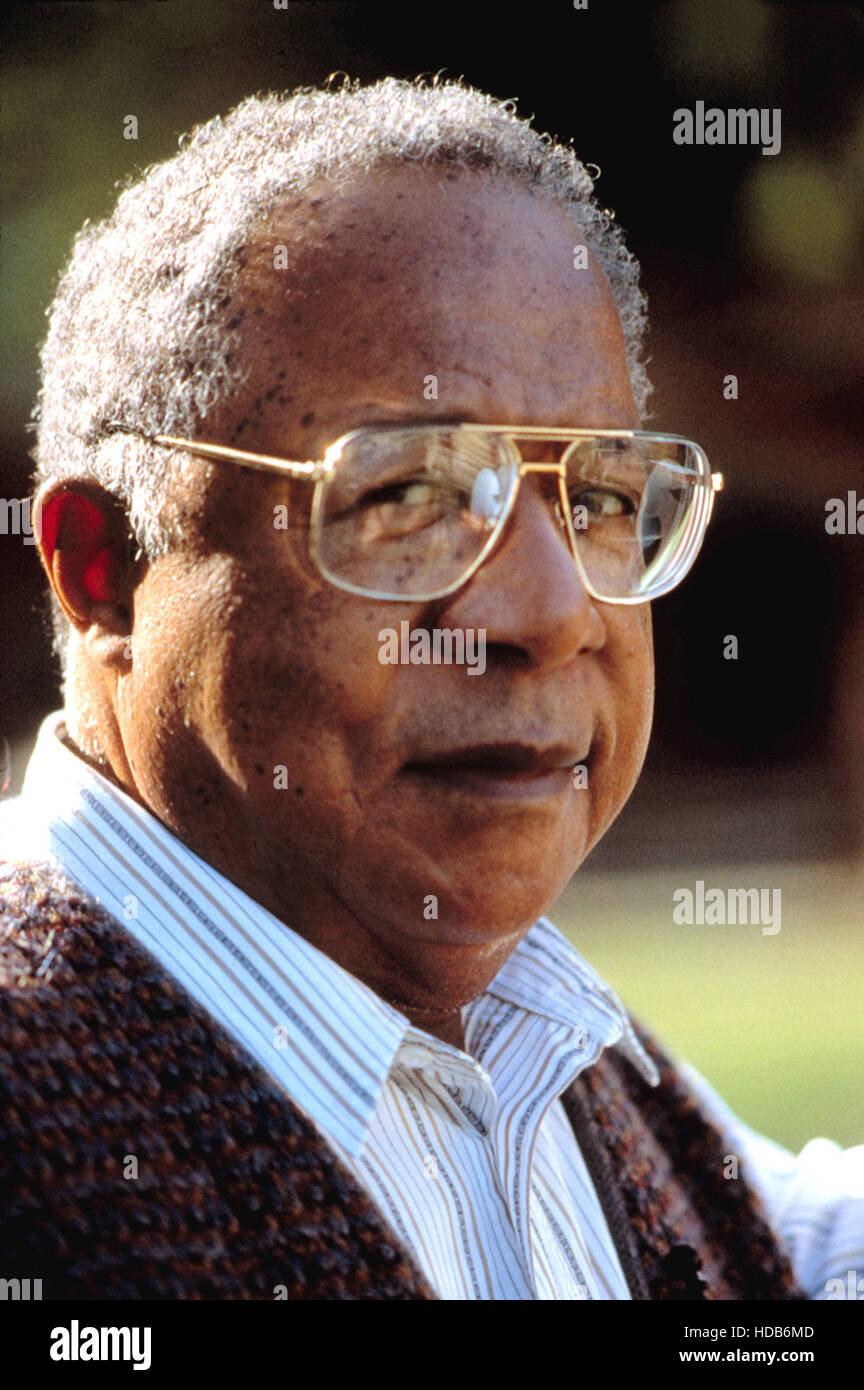 ROOTS, Alex Haley (author), 1977 1977 Stock Photo - Alamy