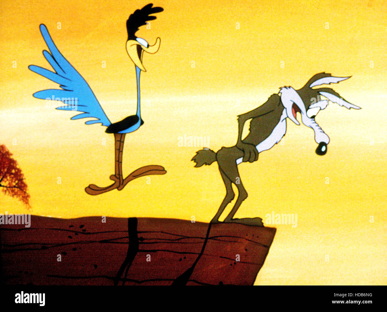 The Clements Go West The Road Runner And Wile E Coyote Show