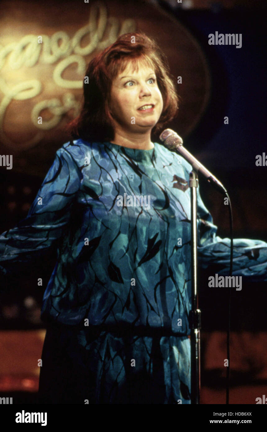 ROSEANNE: AN UNAUTHORIZED BIOGRAPHY, Denny Dillon, 1994 Stock Photo - Alamy